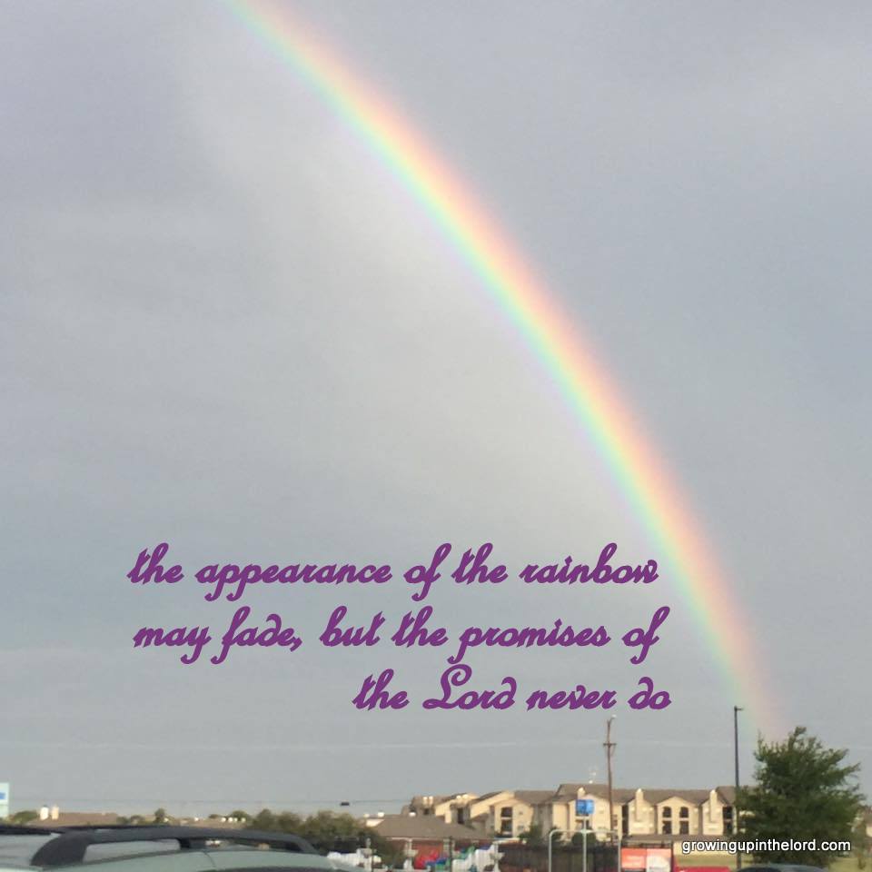 Hair Clips and Rainbows – Growing Up in the Lord